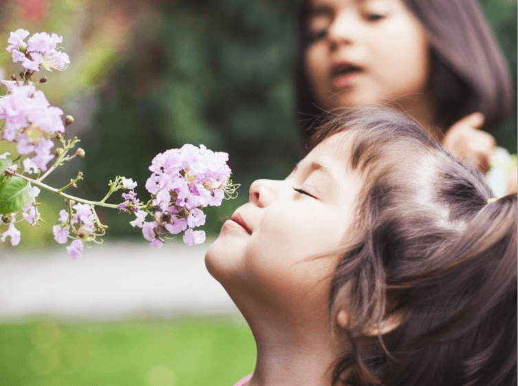 Hallmark Traits of Profound Giftedness: Overexcitabilities – The ...